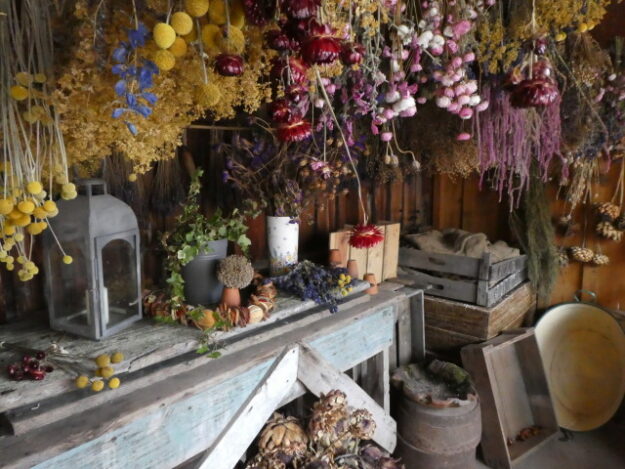 Witchcore Aesthetic - Explaining the Trend